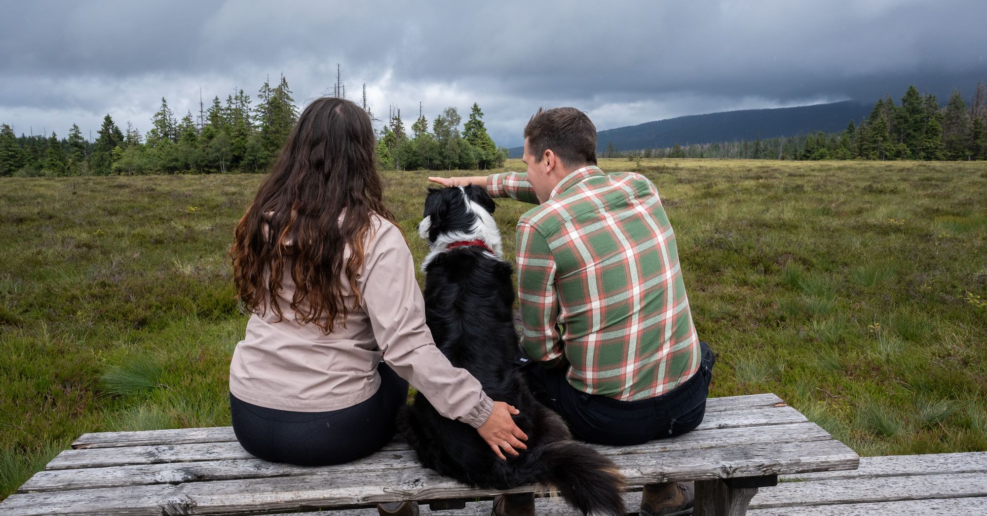 Holiday with your dog in the Harz Mountains - Harzer Tourismusverband e.V.