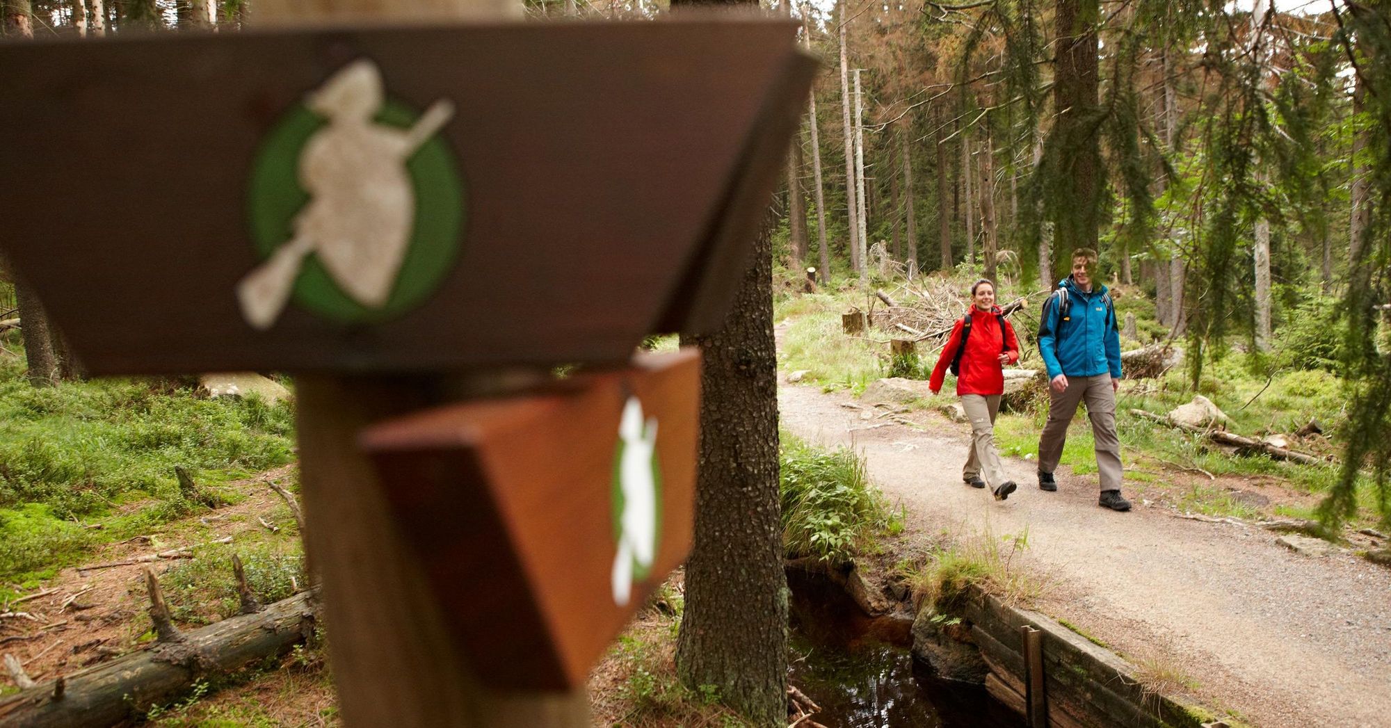Harzer-Hexen-Stieg - Harzer Tourismusverband